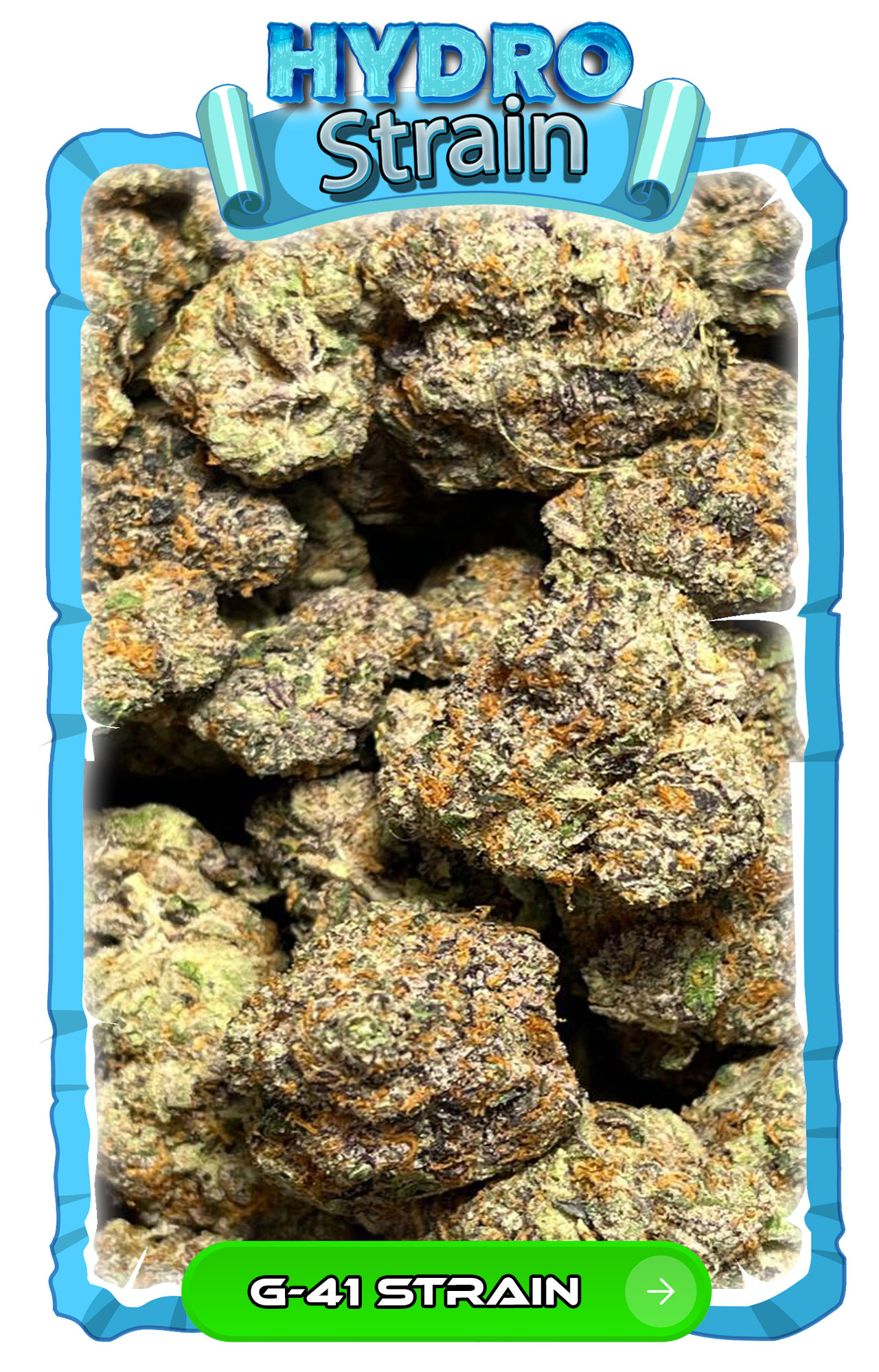 G41 Strain Reupdeliver